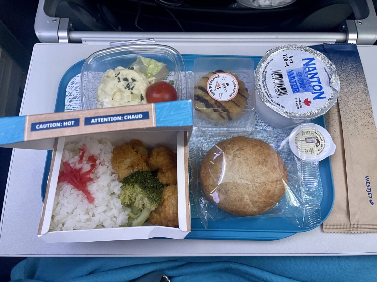 【WestJet】ウェストジェット航空で帰国。カルガリー成田線レポ【搭乗記】 | HSS／HSP MEG BLOG